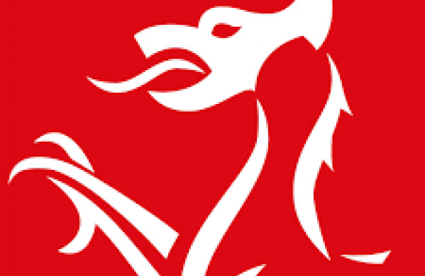 Liberty Protection Standards and Welsh Government work | BASW