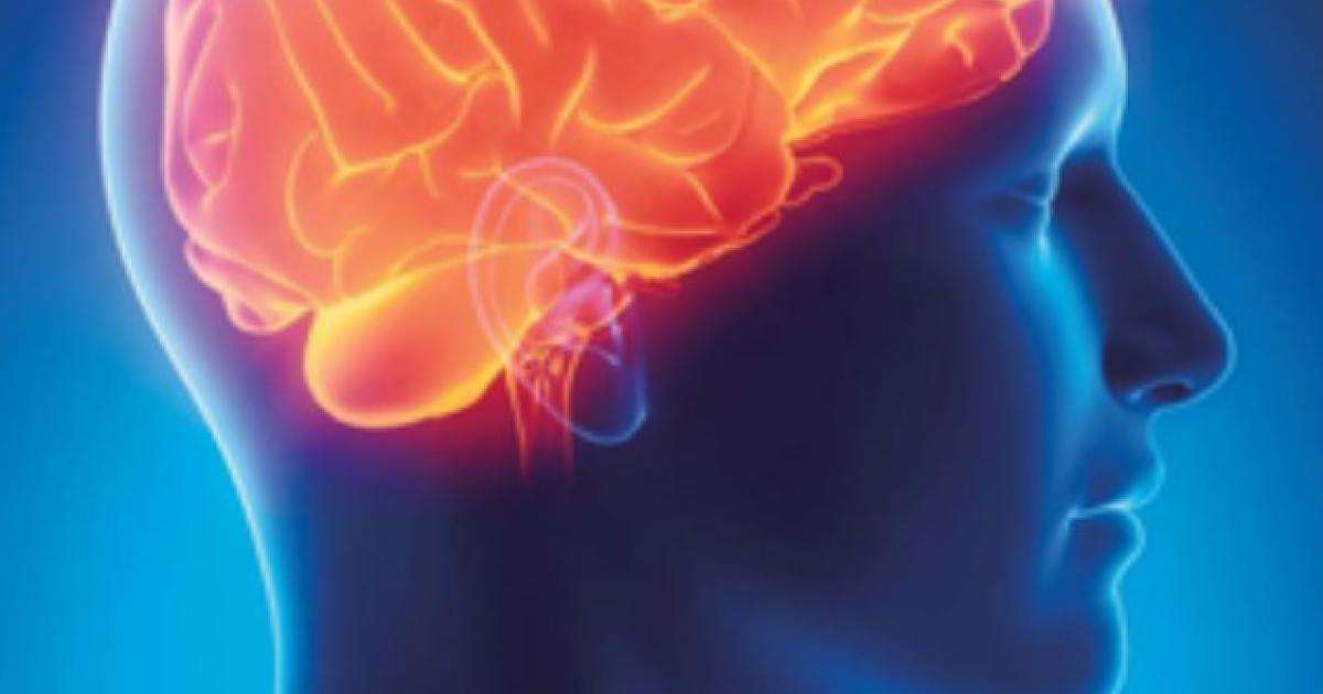 Why every social worker needs to understand brain injury | BASW